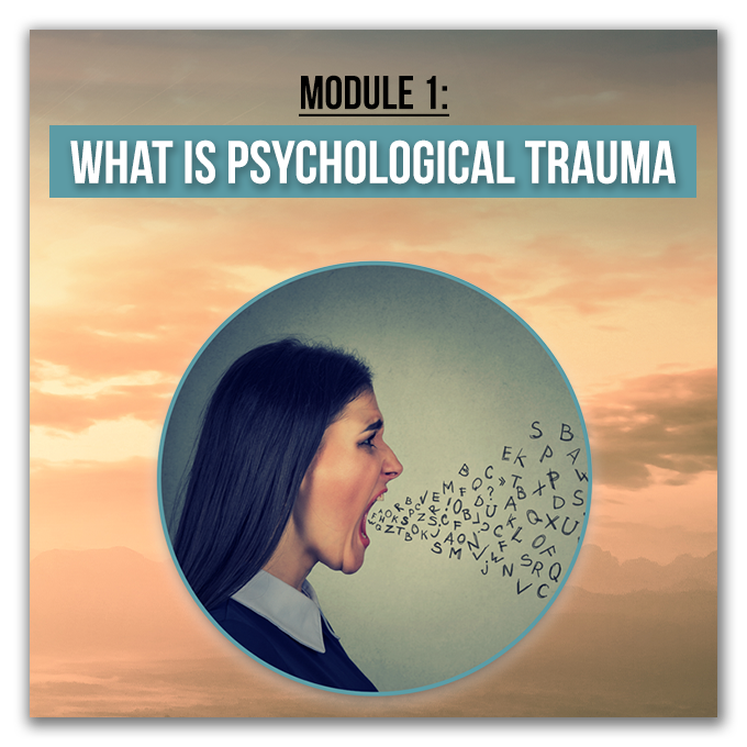 Healing Trauma through Mindfulness | Laura Silva Quesada