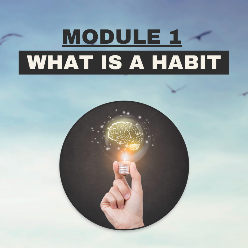 Breaking Addictive Habits | Laura Silva Quesada