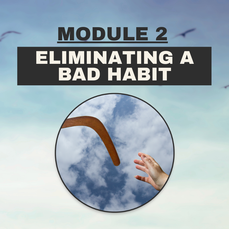 Breaking Addictive Habits | Laura Silva Quesada