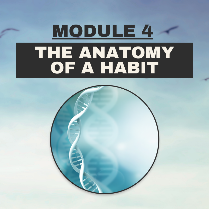 Breaking Addictive Habits | Laura Silva Quesada