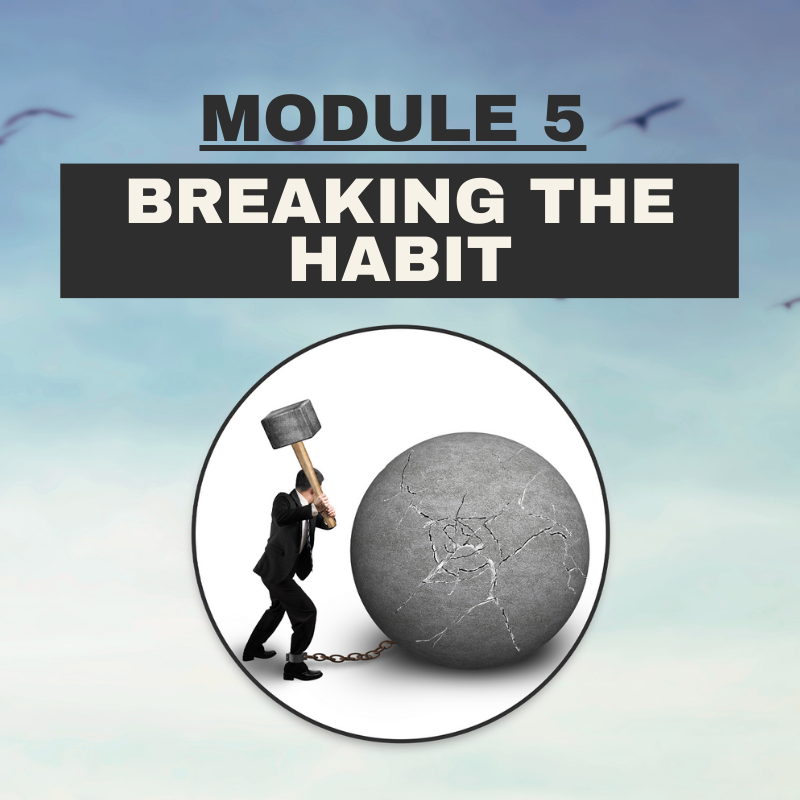 Breaking Addictive Habits | Laura Silva Quesada